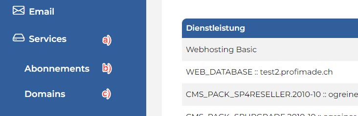 Worldsoft Support - Account Manager